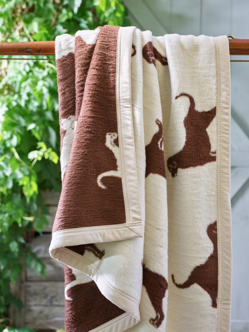 Lab - BEST SELLERS - TL at Home