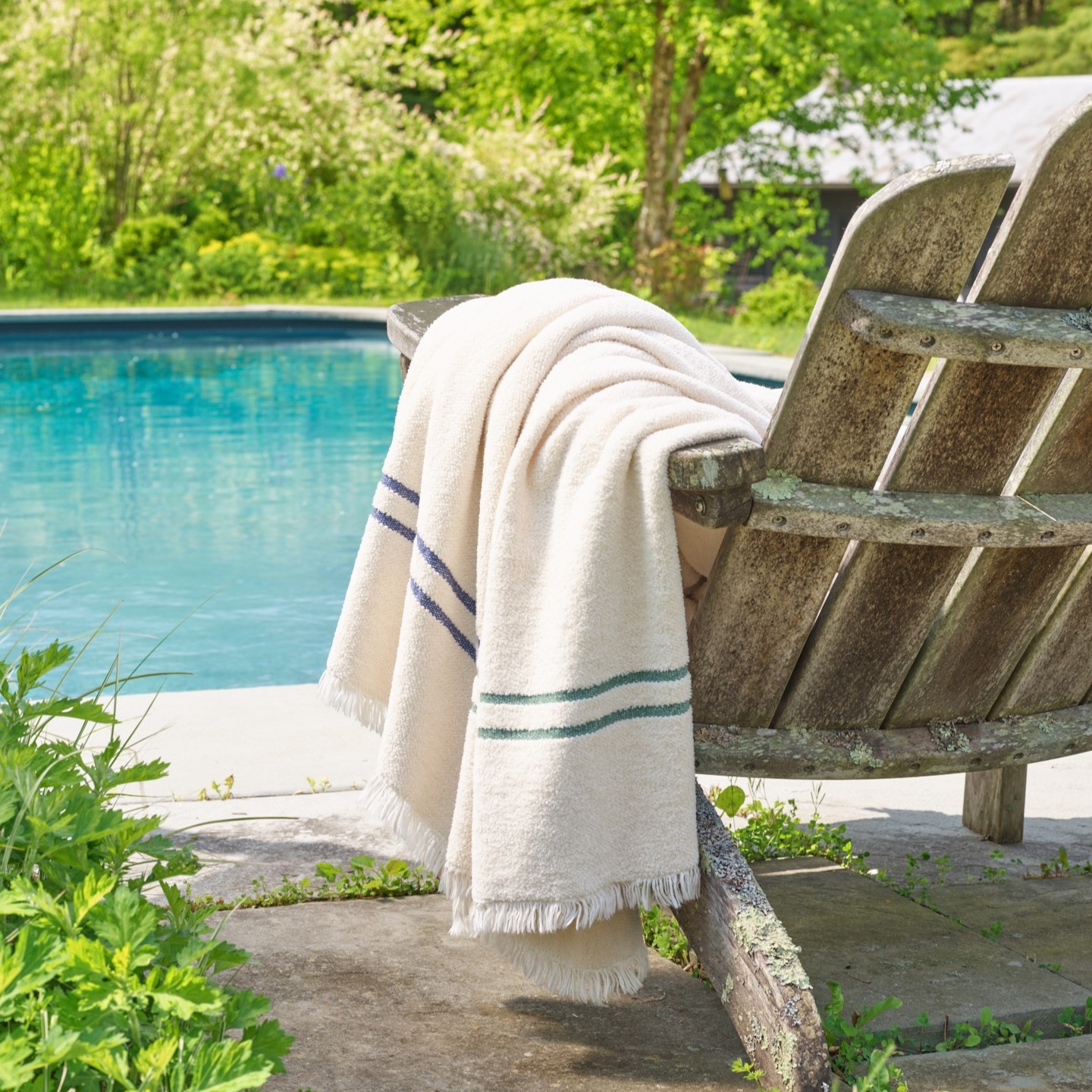 Varsity - COVERLETS, BLANKETS, & THROWS - TL at Home